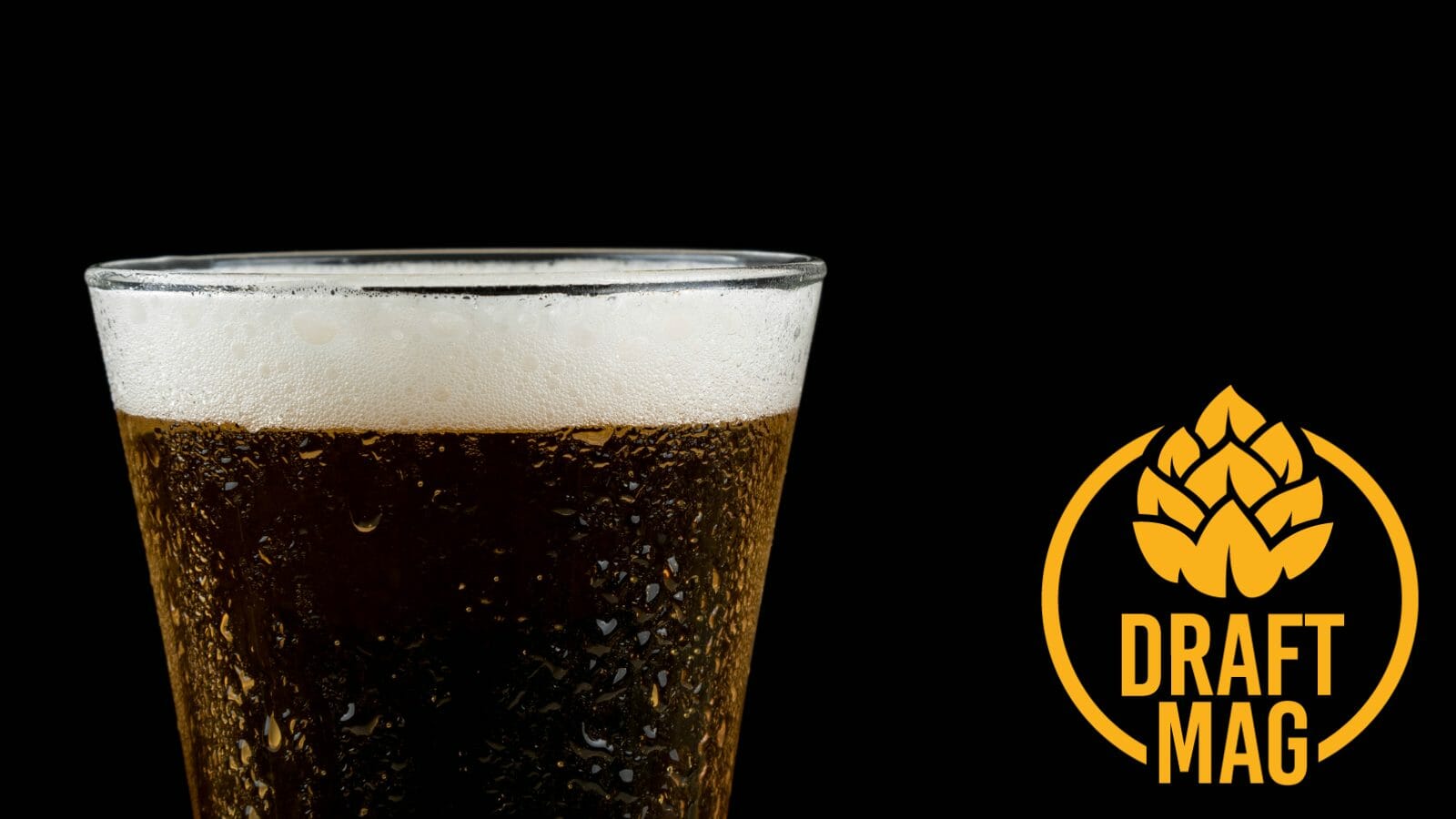 Guinness Foreign Extra Stout Review Try This Bittersweet Flavor