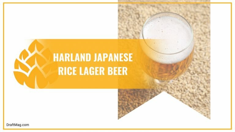 Rice Beer Brands: 13 of the Best-selling Rice Brews in the Market