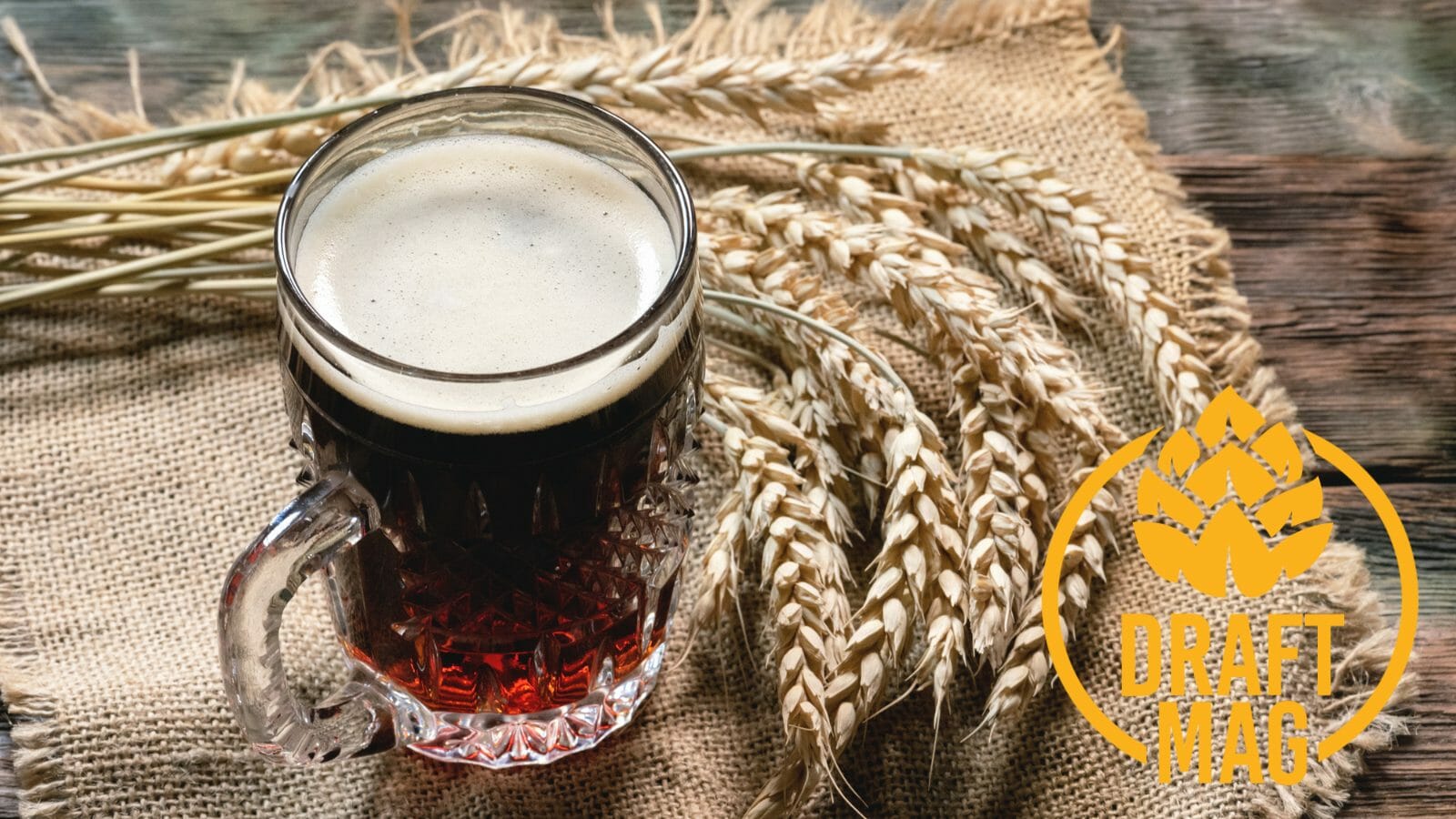 Harpoon IPA Review: A Solid Session India Pale Ale for Hop Heads