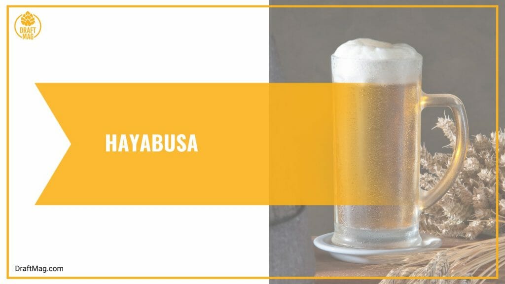 Rice Beer Brands: 13 of the Best-selling Rice Brews in the Market