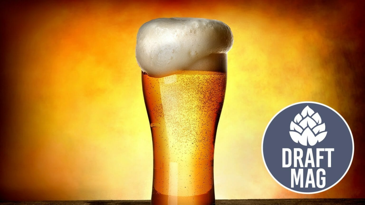 Bud Select 55 Review: A Low-cal Brew for Health-conscious Drinkers