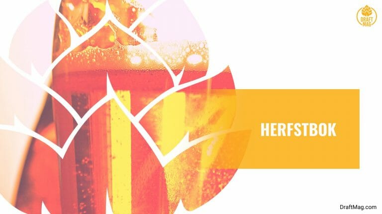 Dutch Beer: A Complete Guide To Traditional and New-age Beers