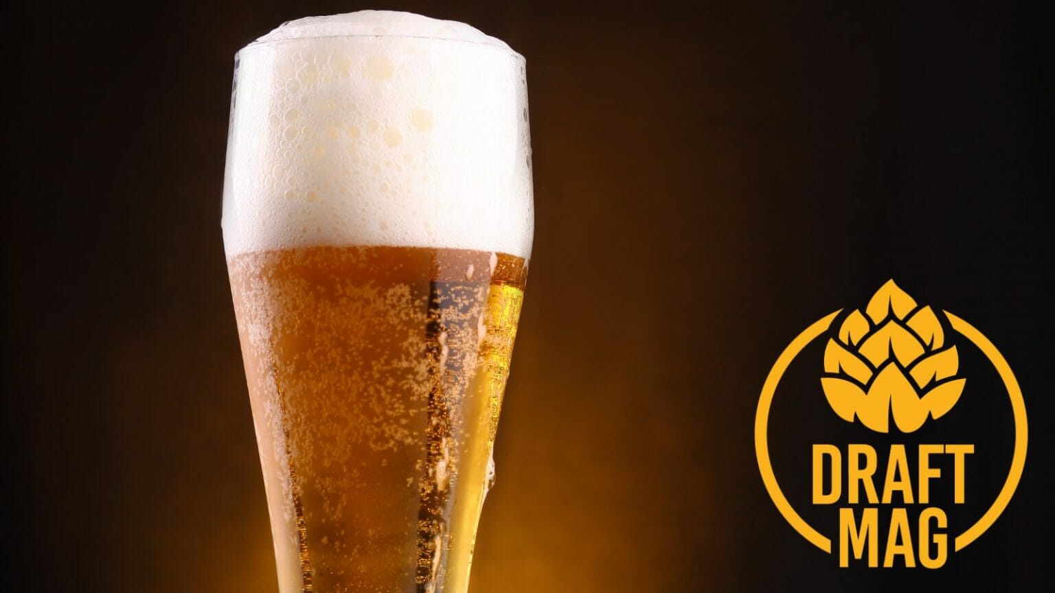 Natty Daddy Beer: A Review of This Malty Light Beer From AB InBev