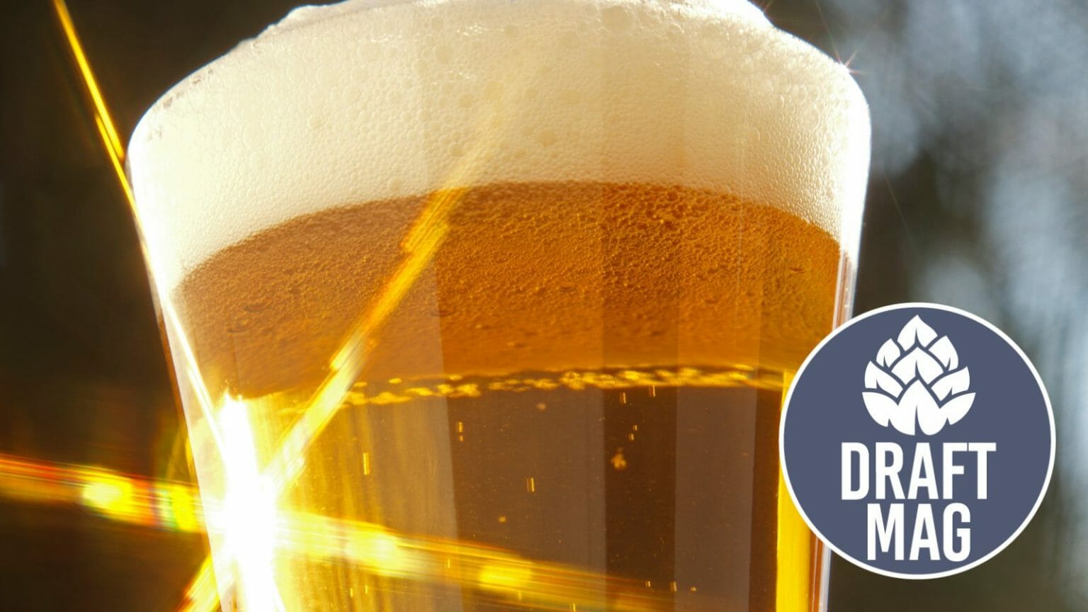 Ziegenbock Beer Review: A Detailed Look at America’s Finest Beer