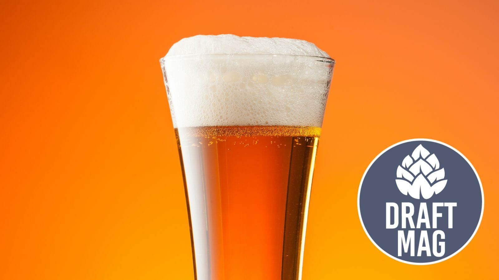 Hop Valley Bubble Stash Review: Honeyed IPA for Beer Lovers