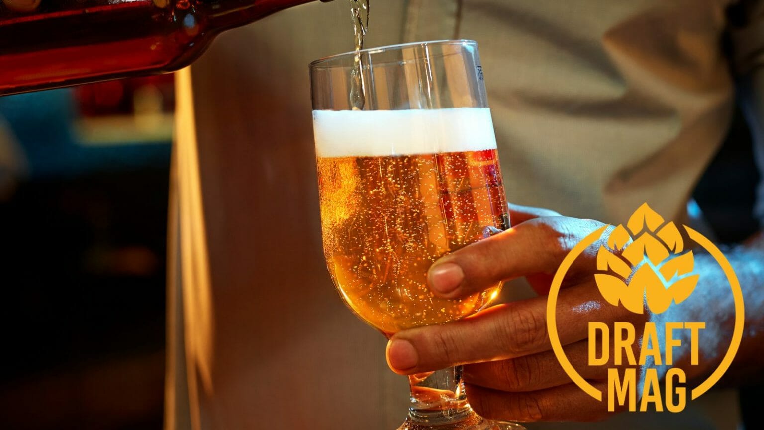 Bodhizafa IPA Review: An Award-winning Fruity and Hoppy IPA