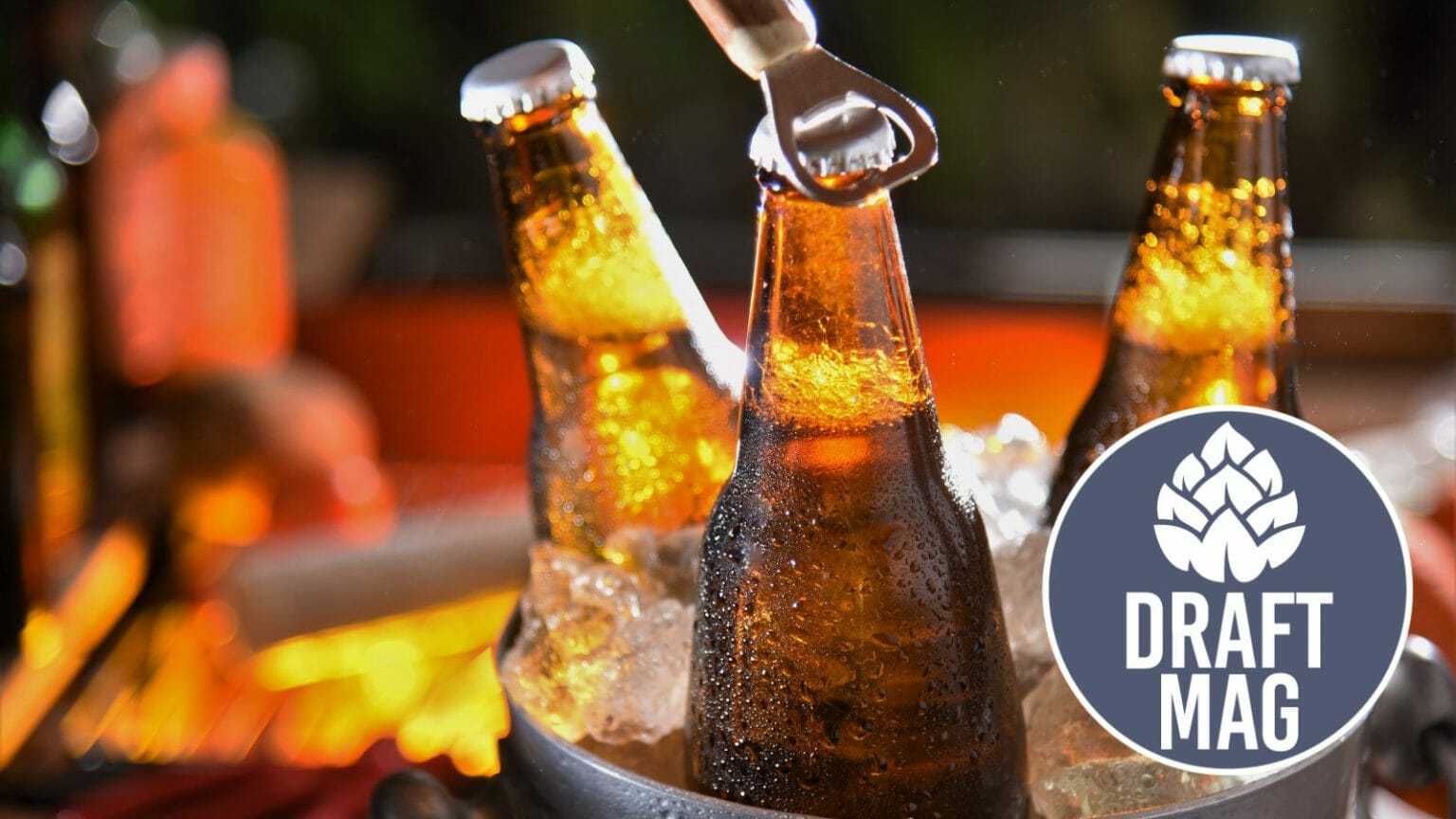 Beer Without Hops: Top Beers That Don’t Include Hops