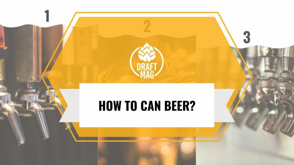 How to Can Beer for Beginners: The Most Effective Ways To Get It Done