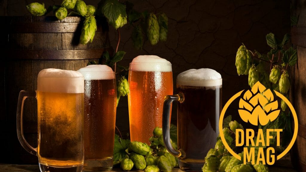 Alaskan Amber: A Complete Review of This German-style Alt-like Beer