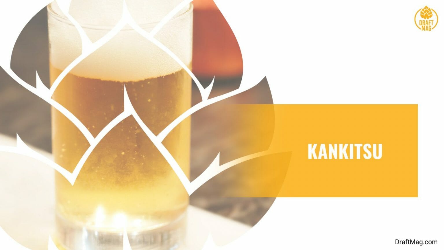 Rice Beer Brands: 13 of the Best-selling Rice Brews in the Market