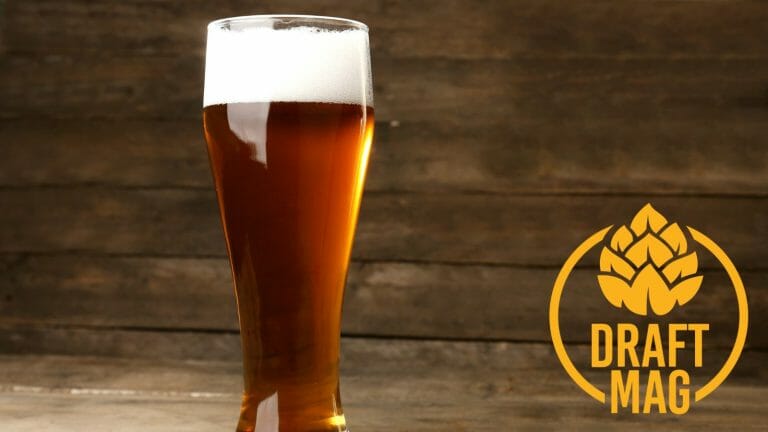 Dos Equis Review: Where German and Mexican Brewing Come Together