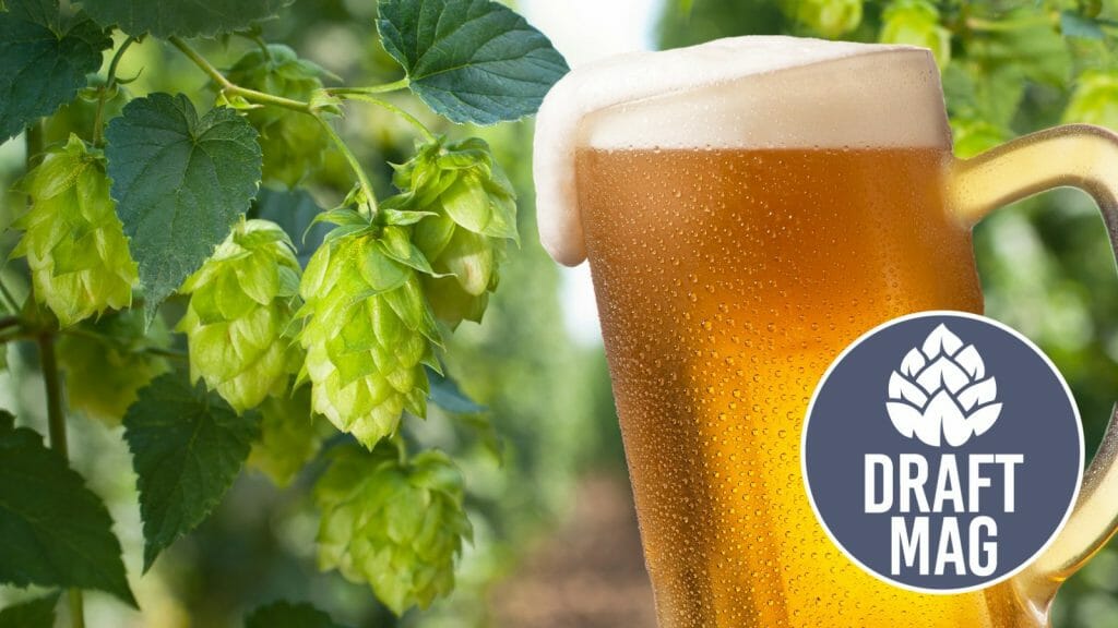 Rolling Rock Beer Review: Has the Iconic Beer Lost Its Shine?