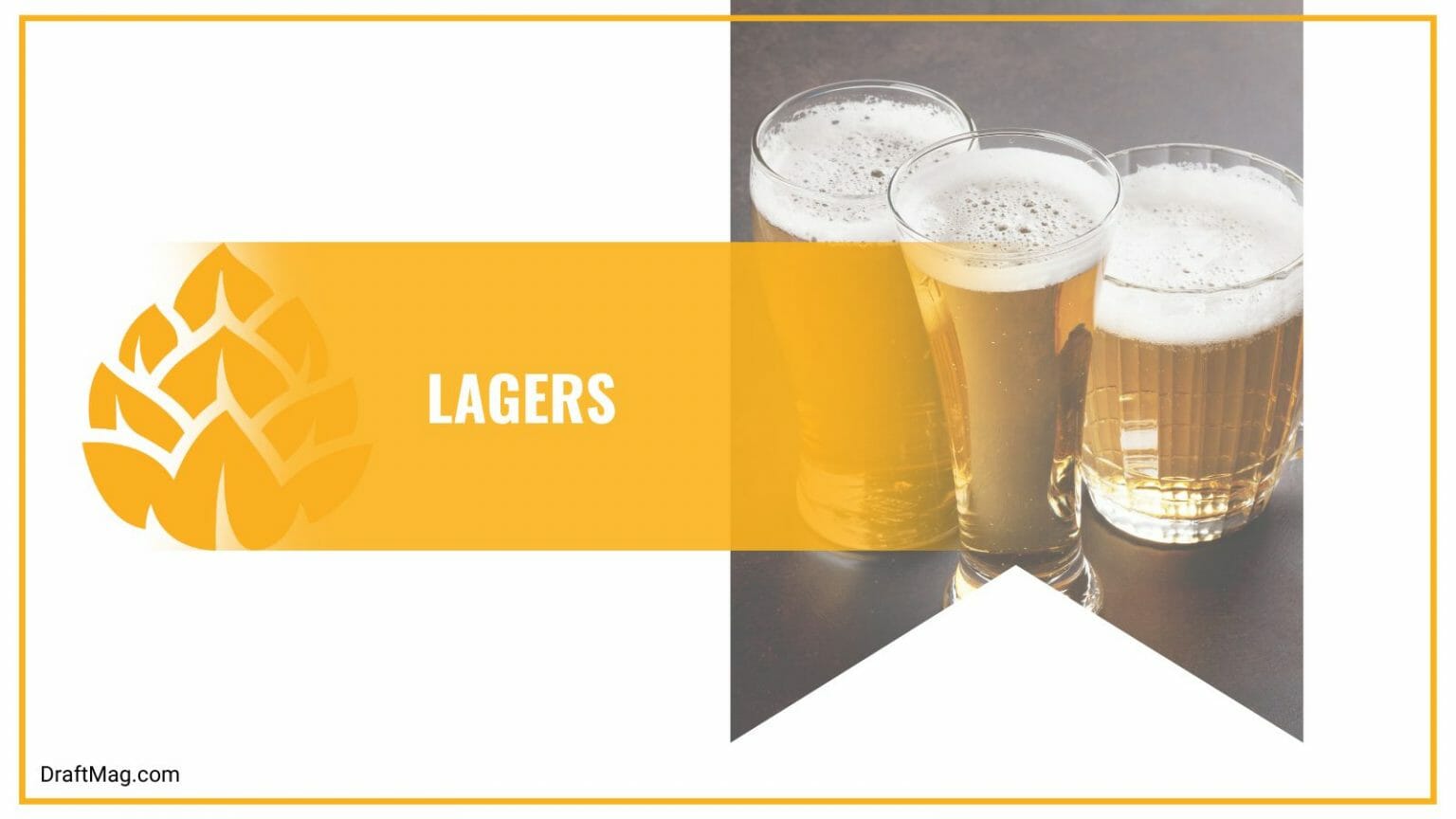 Is Beer Alcohol? Busting Popular Brew Myths With Science
