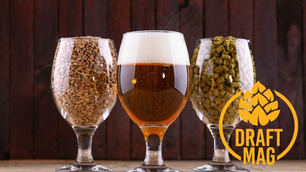 Bud Light Platinum Review: A Guide To Choosing a Premium Beer