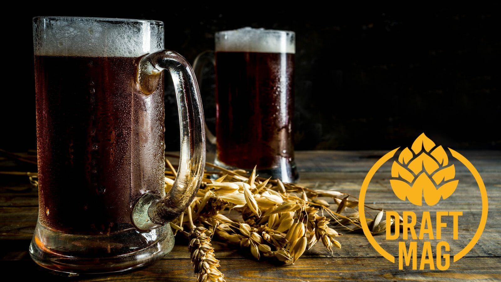 Terra Beer Review: A Close Look at This Top European Pale Lager