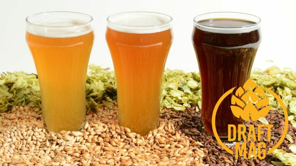 Famosa Beer Review: Classic Example of a Great American Lager