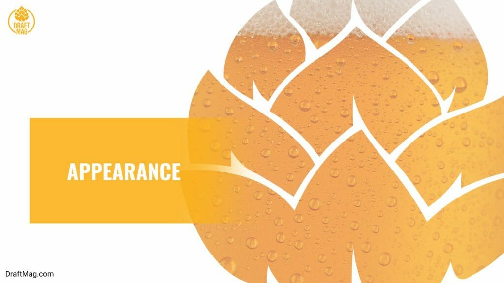 Icehouse Beer Review: A Look at America’s First Domestic Ice Beer