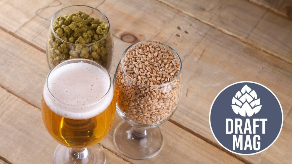 Bodhizafa IPA Review: An Award-winning Fruity and Hoppy IPA