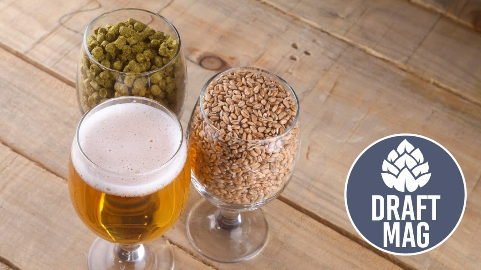 Kilt Lifter Beer Review: A Detailed Look at This Top Scottish Ale