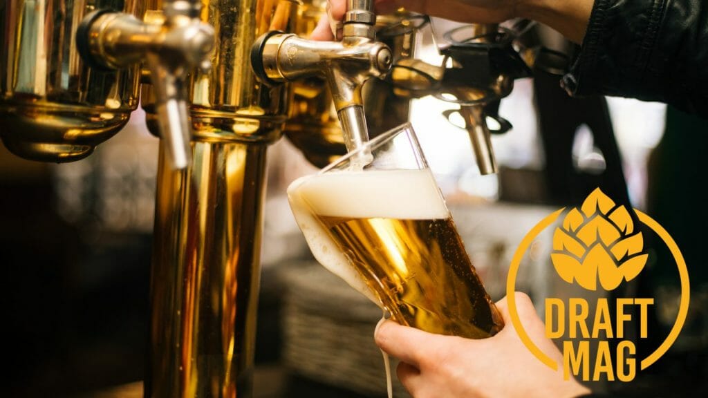 Electric Jellyfish IPA: A Review of the Top Beer for All Hop Heads