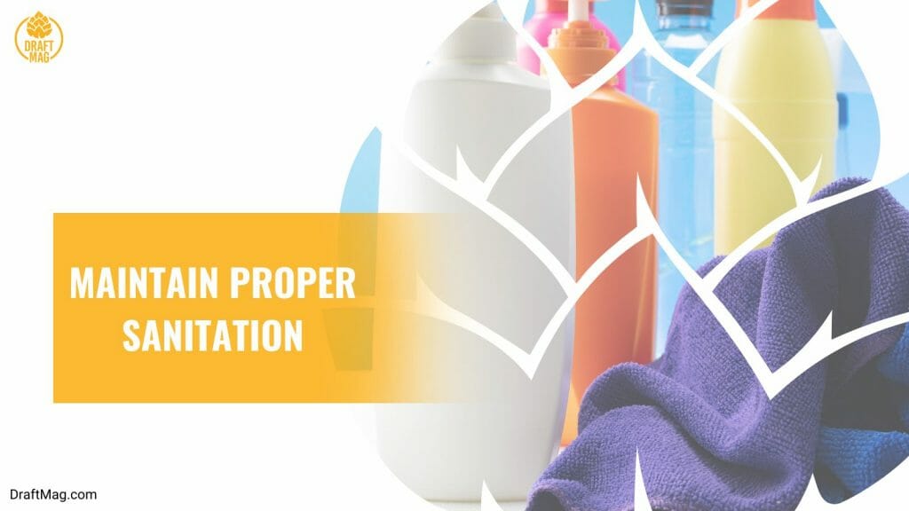 Mold in Beer: A Guide to Identification, Causes, Effects, and More