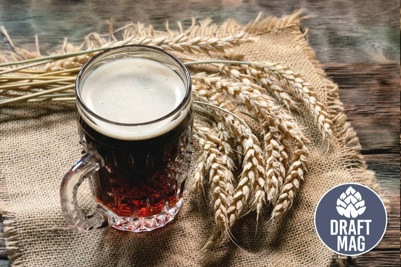 Mississippi Mud Beer Review: Add It to Your Drink List or Not?