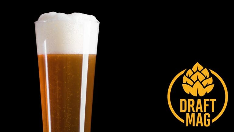 Dos Equis Review: Where German and Mexican Brewing Come Together