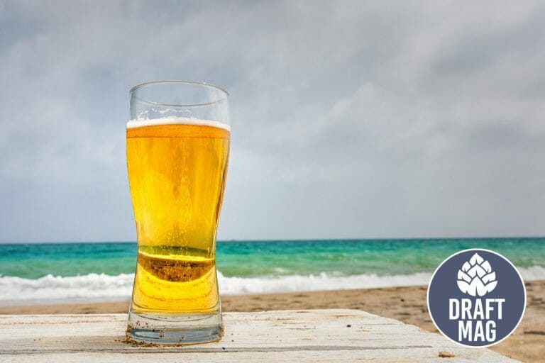 Dos Equis Lime and Salt Review: The Guide to This Mexican Beer Combo