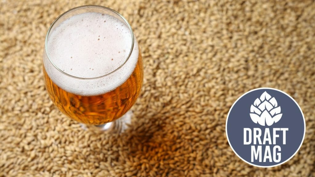 Michelob Ultra Dragon Fruit Peach: A Review of This Fruity Lager