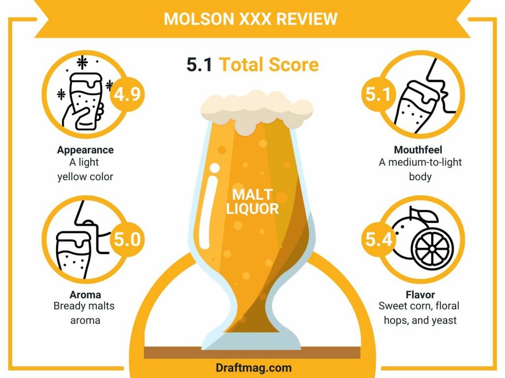 Molson Xxx Review: Strong Tasting Lager and Balanced Flavors