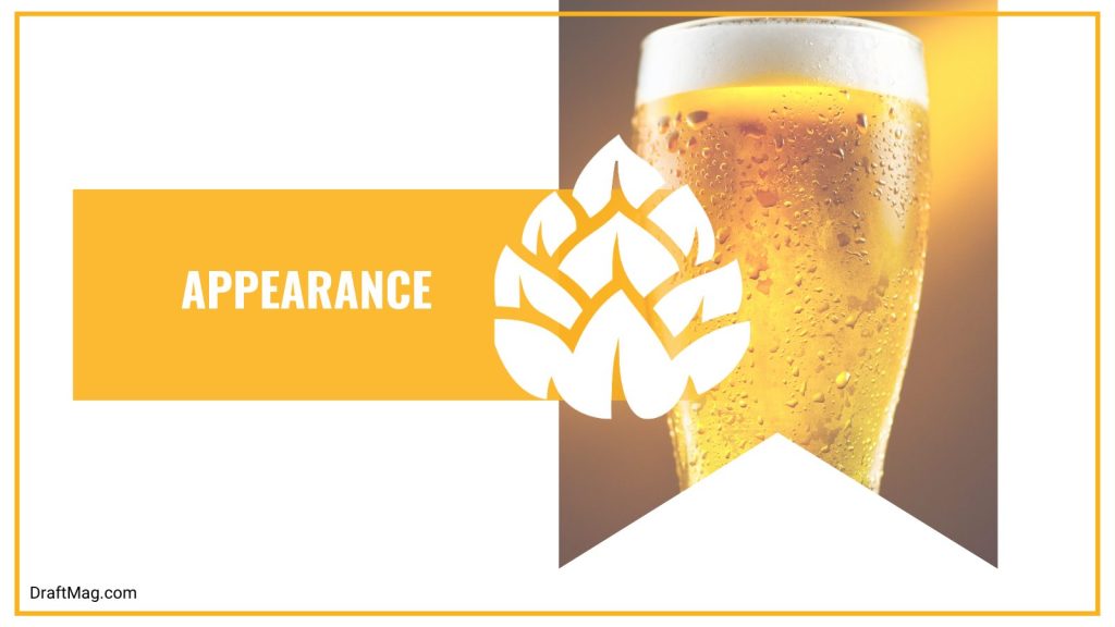 Moretti Beer Review: Give This Popular Italian Brew a Try