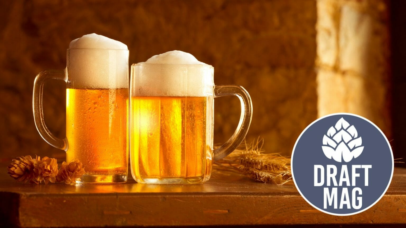 Terra Beer Review: A Close Look at This Top European Pale Lager