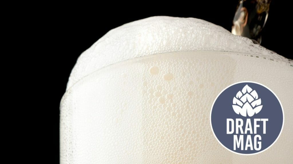 Bodhizafa IPA Review: An Award-winning Fruity and Hoppy IPA