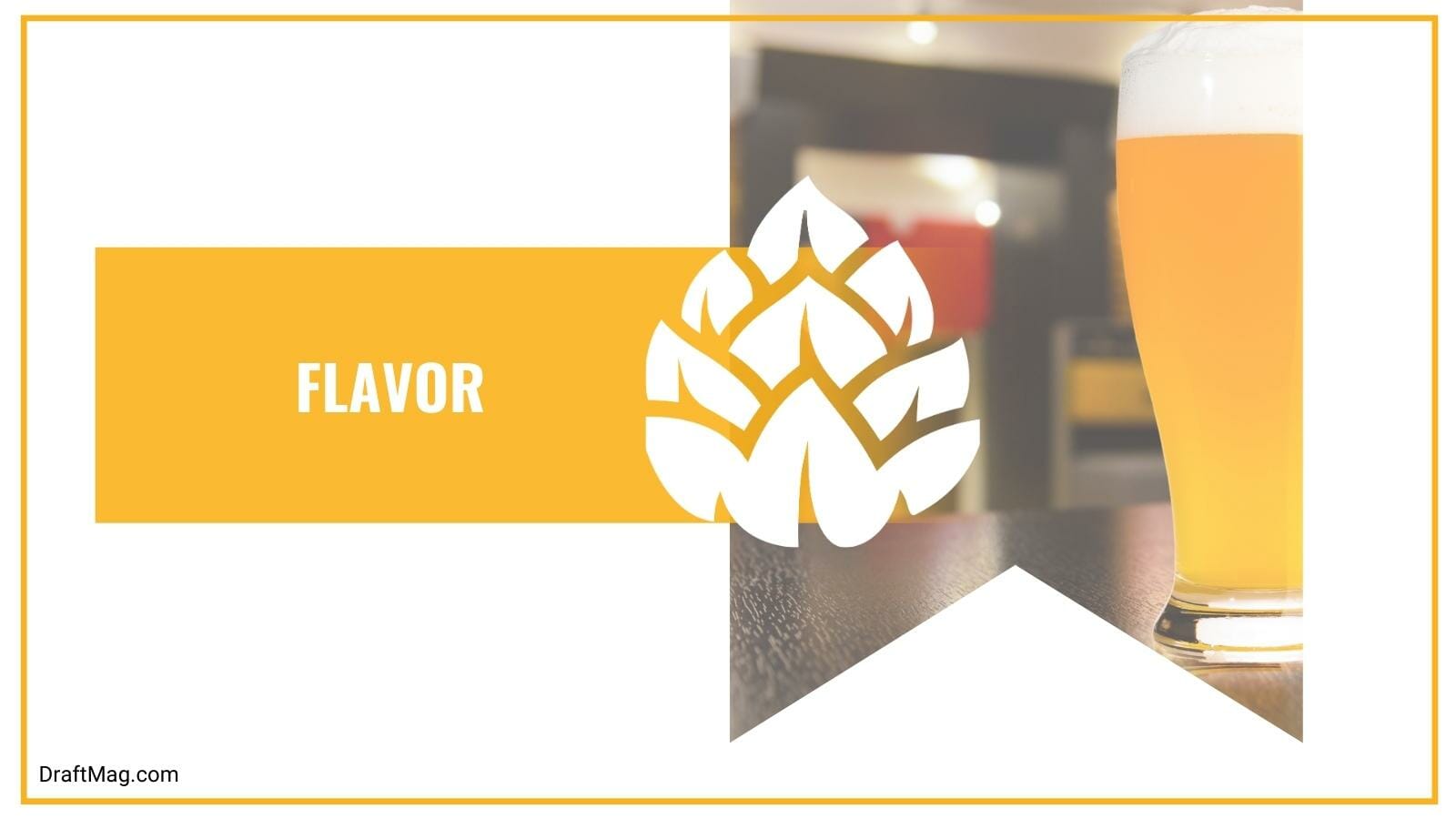 Natural Ice Review: Everyone’s All-Season American Lager
