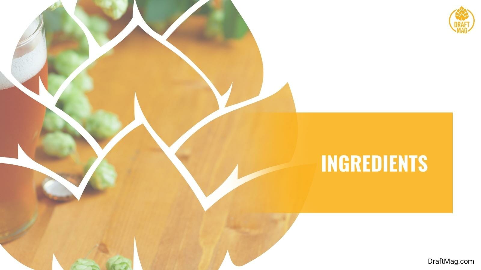 Natural Ice Review: Everyone’s All-Season American Lager