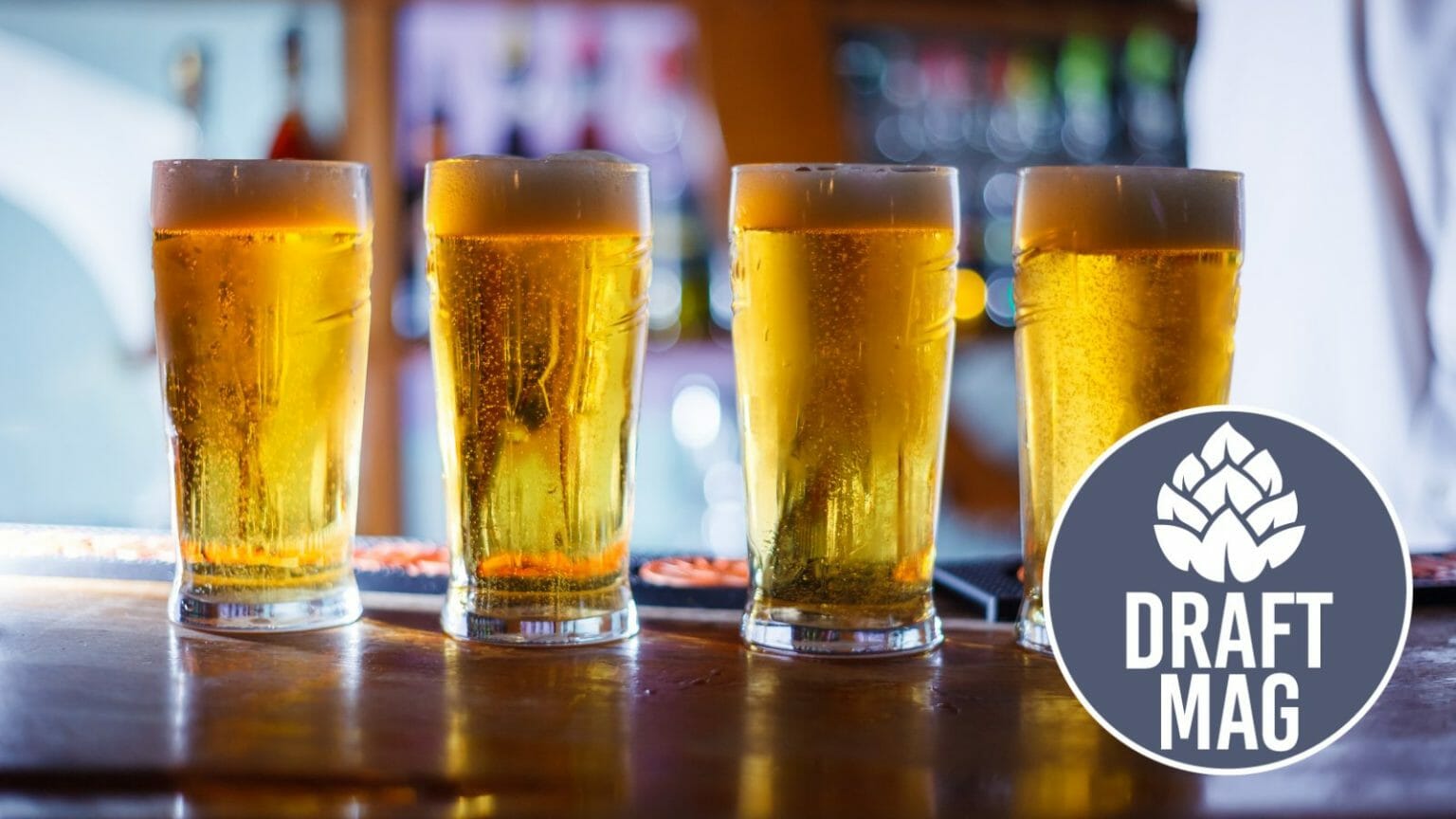 Fiddlehead IPA Review: Why You Can’t Get Enough Of This Vermont IPA