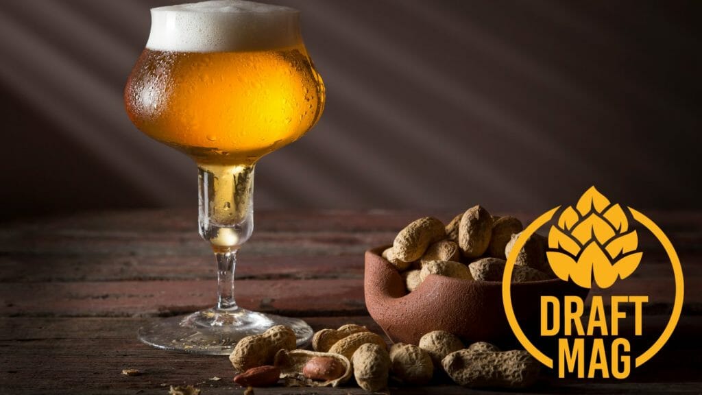 Bodhizafa IPA Review: An Award-winning Fruity and Hoppy IPA