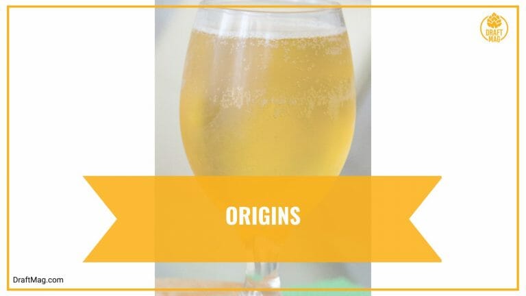 Dry Beer: A Complete Guide to the Latest Rage of Sugarless Beers