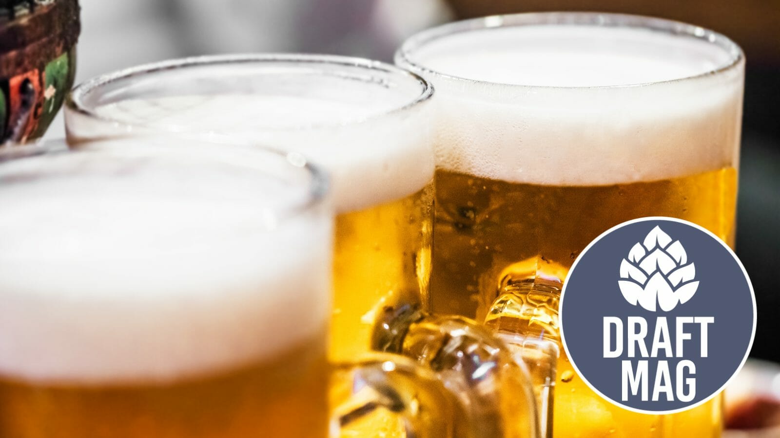 Pantera Beer Review: Pleasant Brew That Goes Down Easy