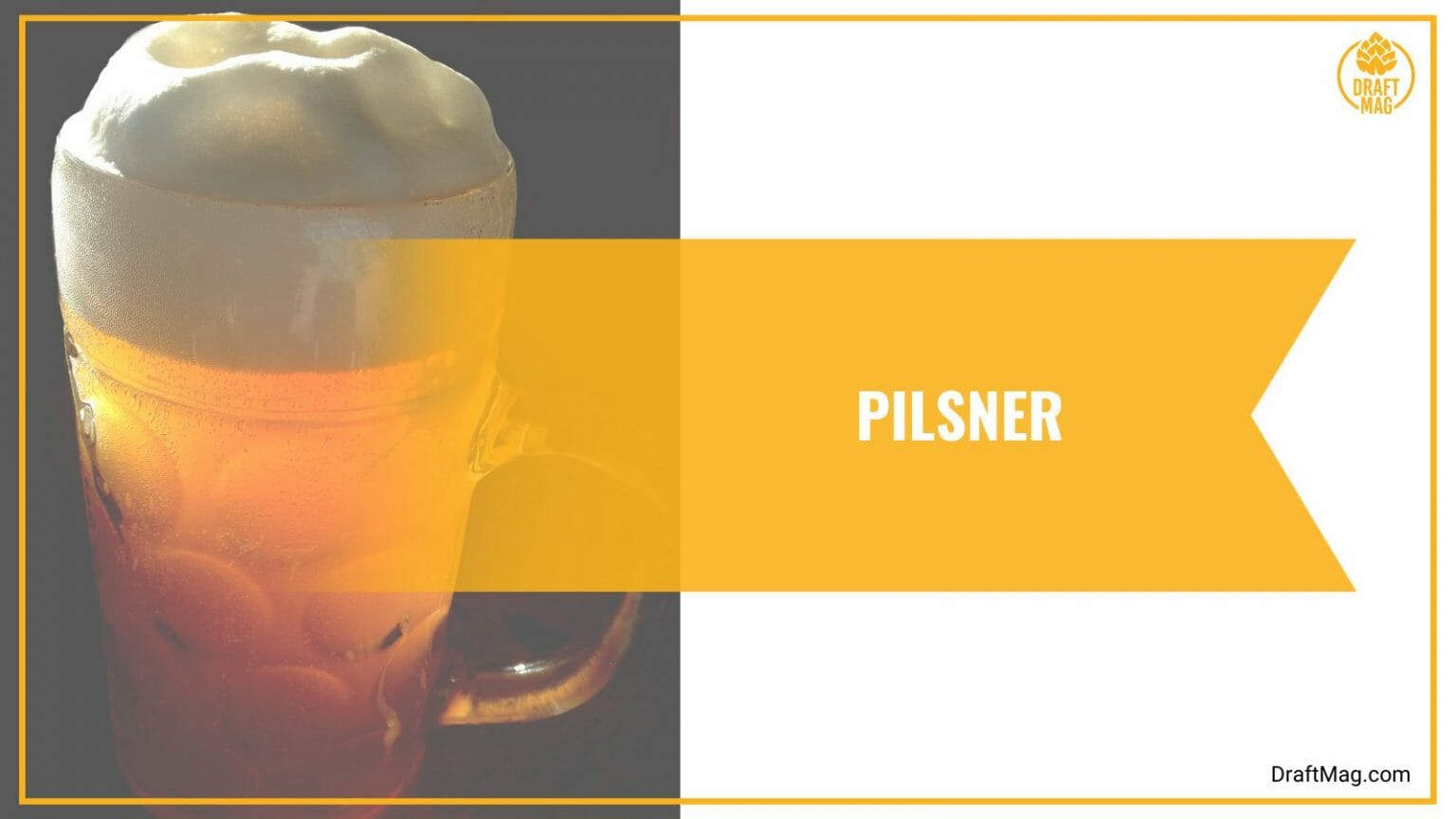 Dutch Beer: A Complete Guide To Traditional and New-age Beers