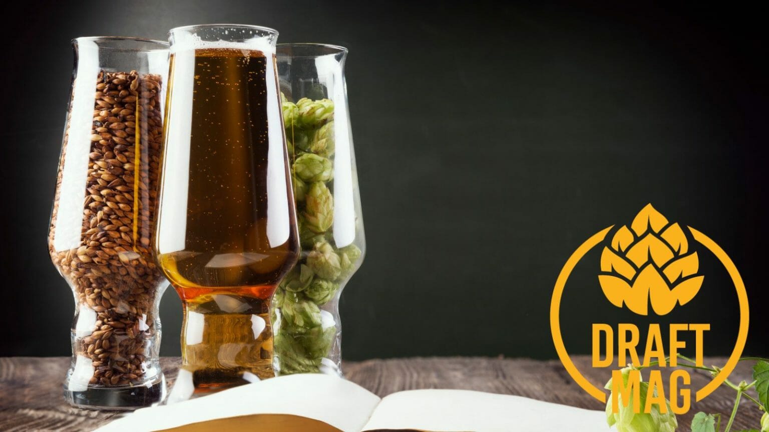 Cali Squeeze Review: Juicy Hefe Bursting With Blood Oranges