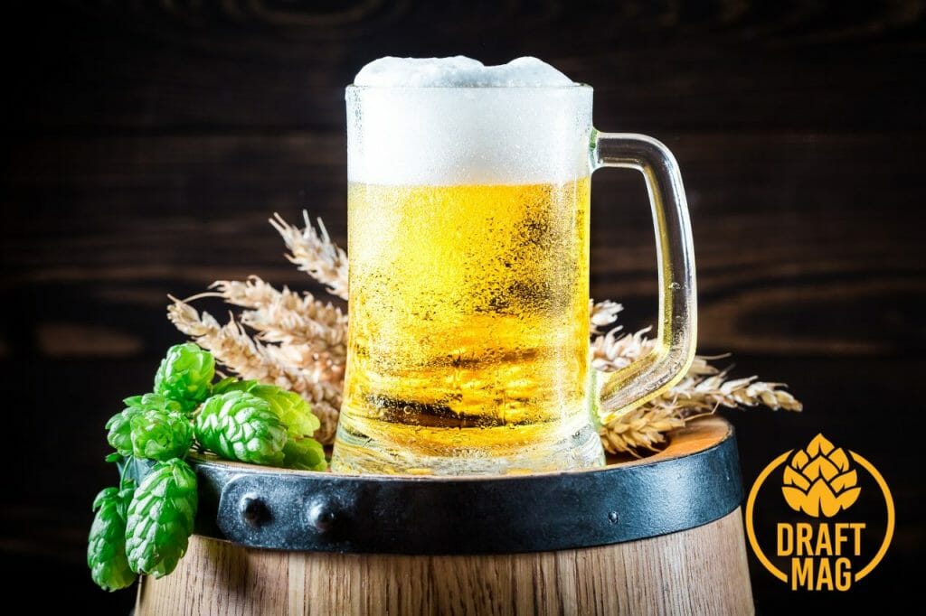 Hopadillo IPA Review: Try This Nicely Balanced American IPA