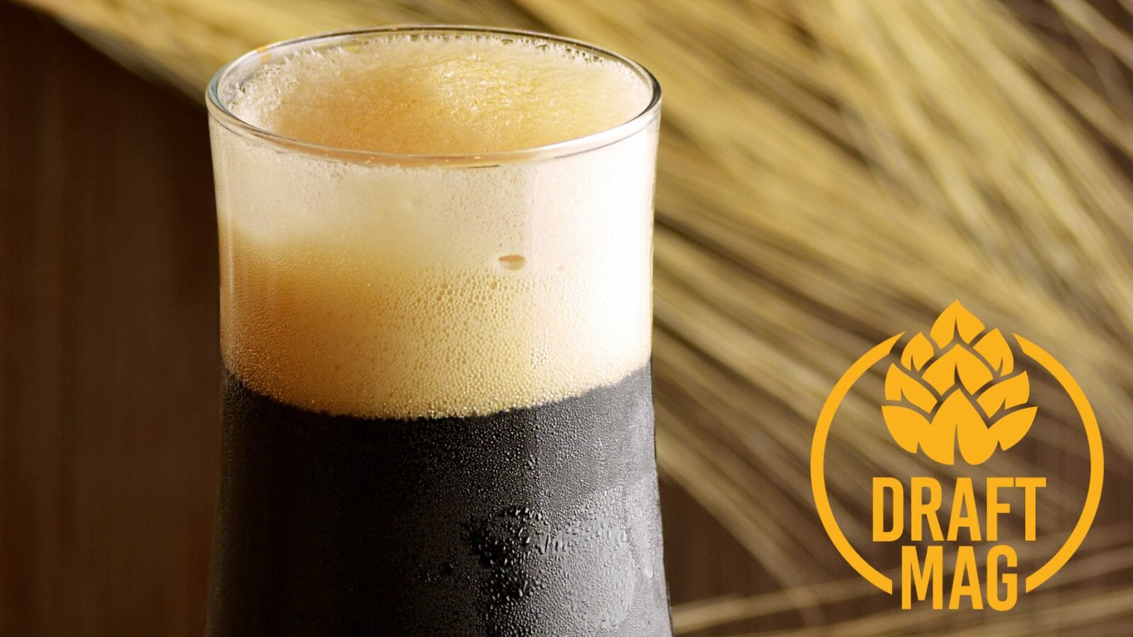 Polygamy Porter Review A Nicely Balanced Chocolatey Beer