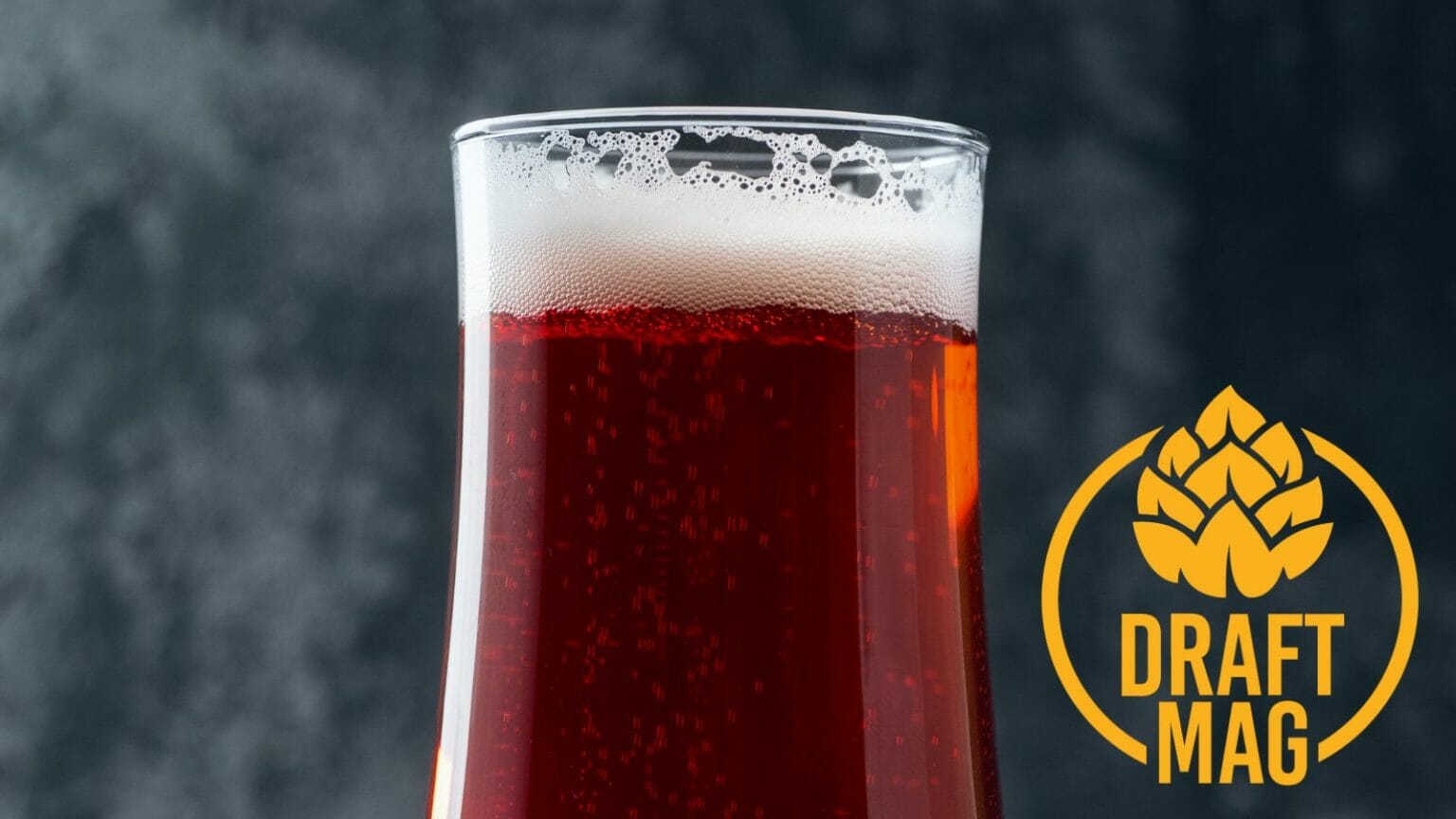 Victoria Beer Review: A Classic Vienna Lager for All Beer Lovers