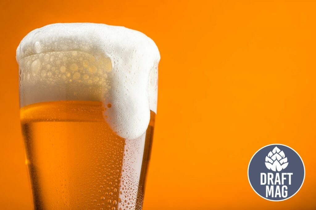 Modelo Negra Review: The Dark Mexican Beer That Tastes So Different