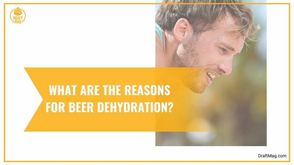 Does Beer Dehydrate You? How Drinking Beer Affects Your Health