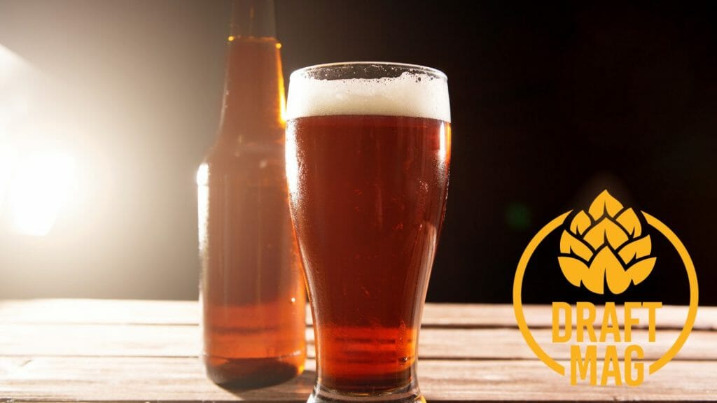 Rice Beer Brands: 13 of the Best-selling Rice Brews in the Market