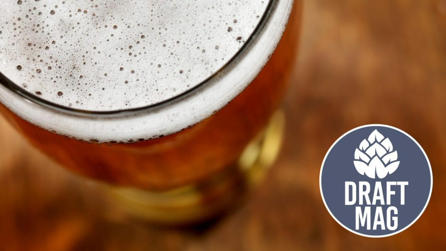 Bud Select 55 Review: A Low-cal Brew for Health-conscious Drinkers