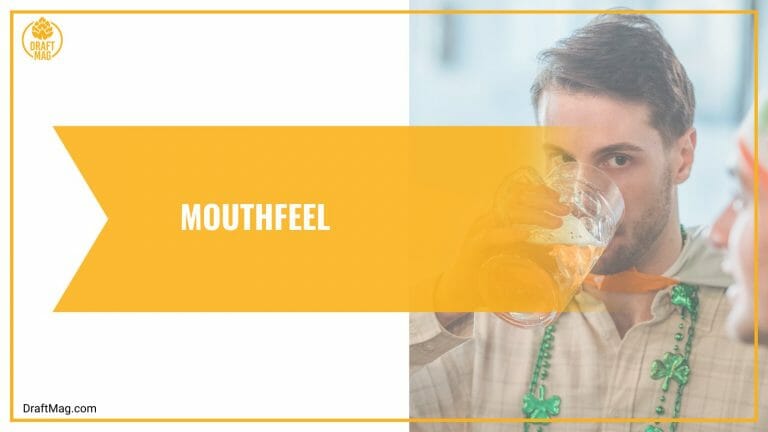 Victoria Beer Review: A Classic Vienna Lager for All Beer Lovers