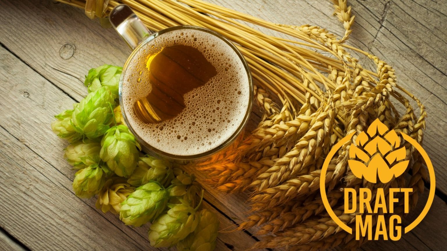 Cali Squeeze Review: Juicy Hefe Bursting With Blood Oranges